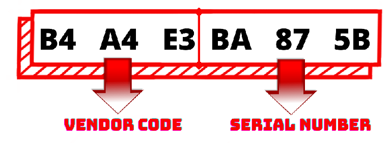 What is a MAC address and what is it used for?