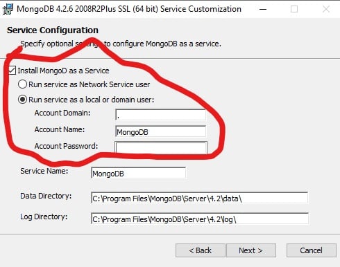 How to run MongoDB locally