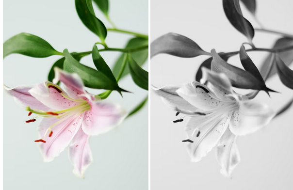 How to convert an image to grayscale with CSS