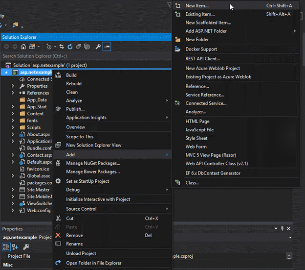What are ASP .NET web forms?