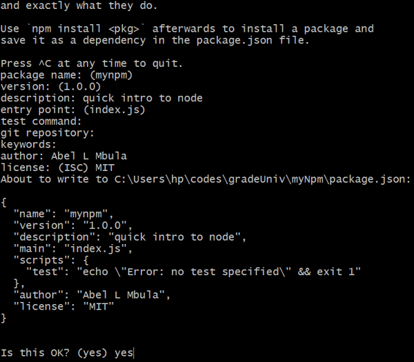 How to use the node package manager