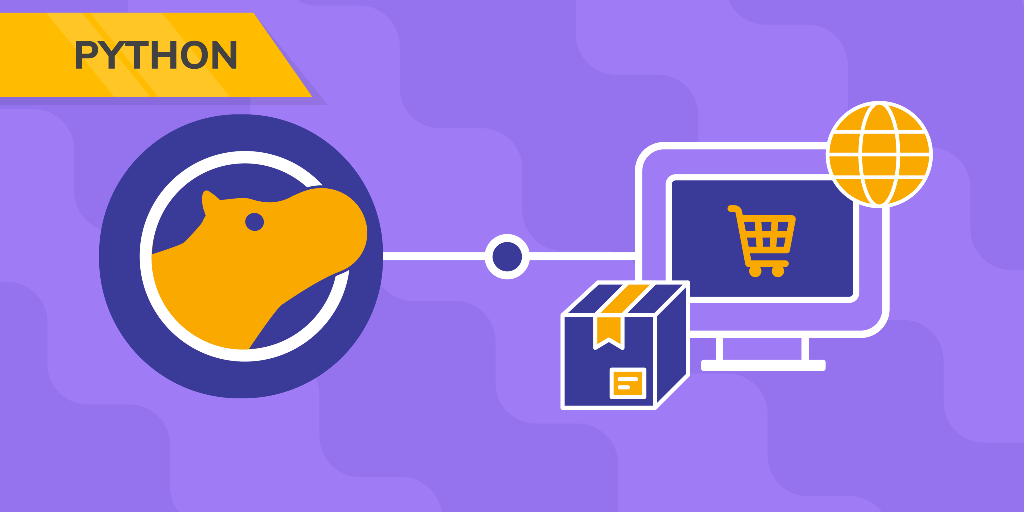 Seamless Shipping with the Shippo API in Python - Learn Interactively