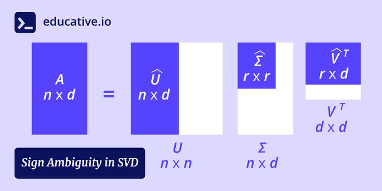 Sign Ambiguity in Singular Value Decomposition (SVD)